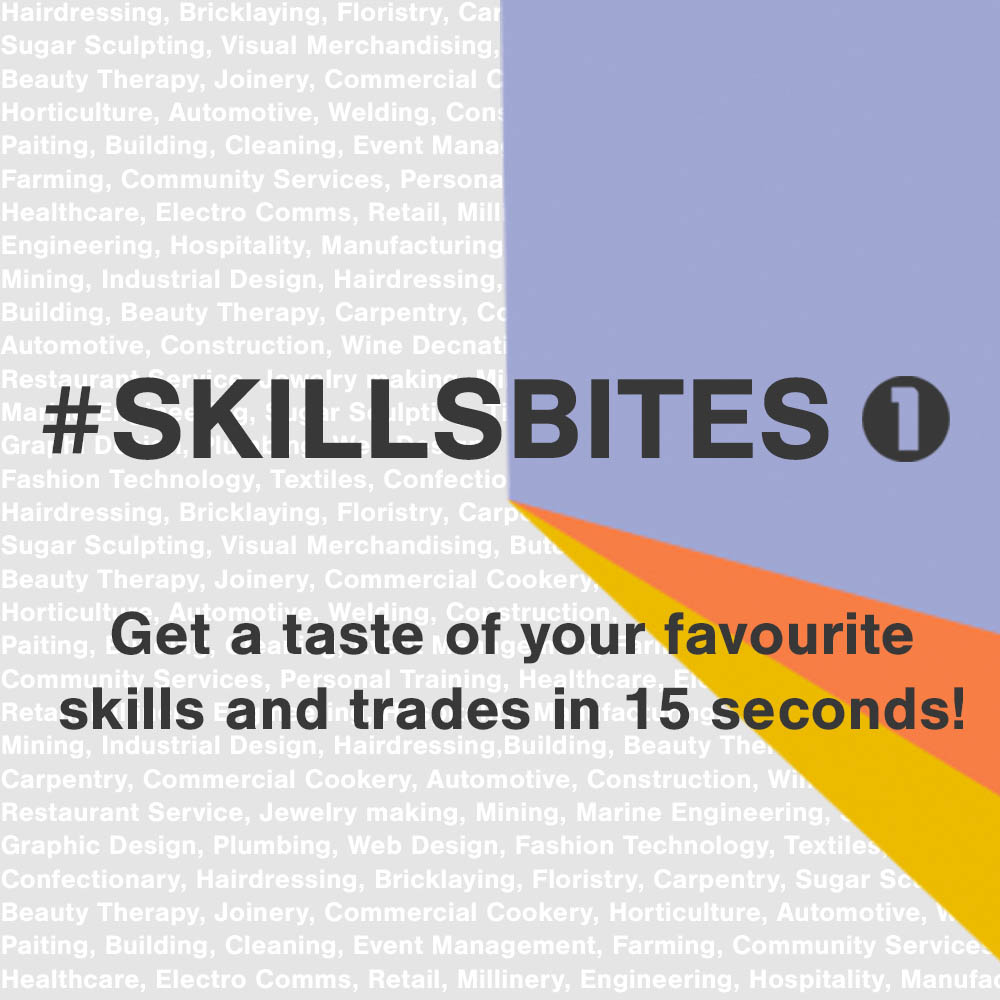 SkillsOne Launches SKILLS BITES - National Skills Week 2025